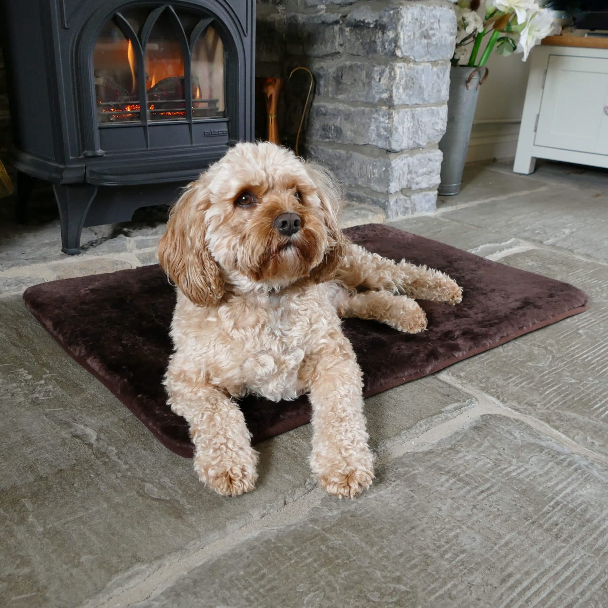 Factory Seconds - Sheepland Sheepskin Chocolate Pet Bed - Sheepskin.co.uk